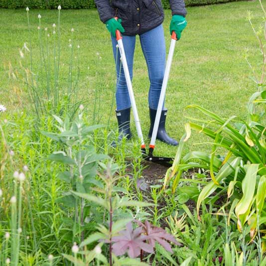 edging shears wilkinson sword