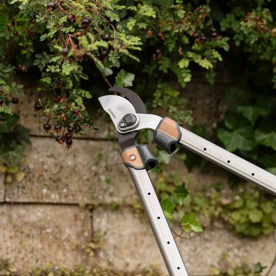 Power lopping shears store