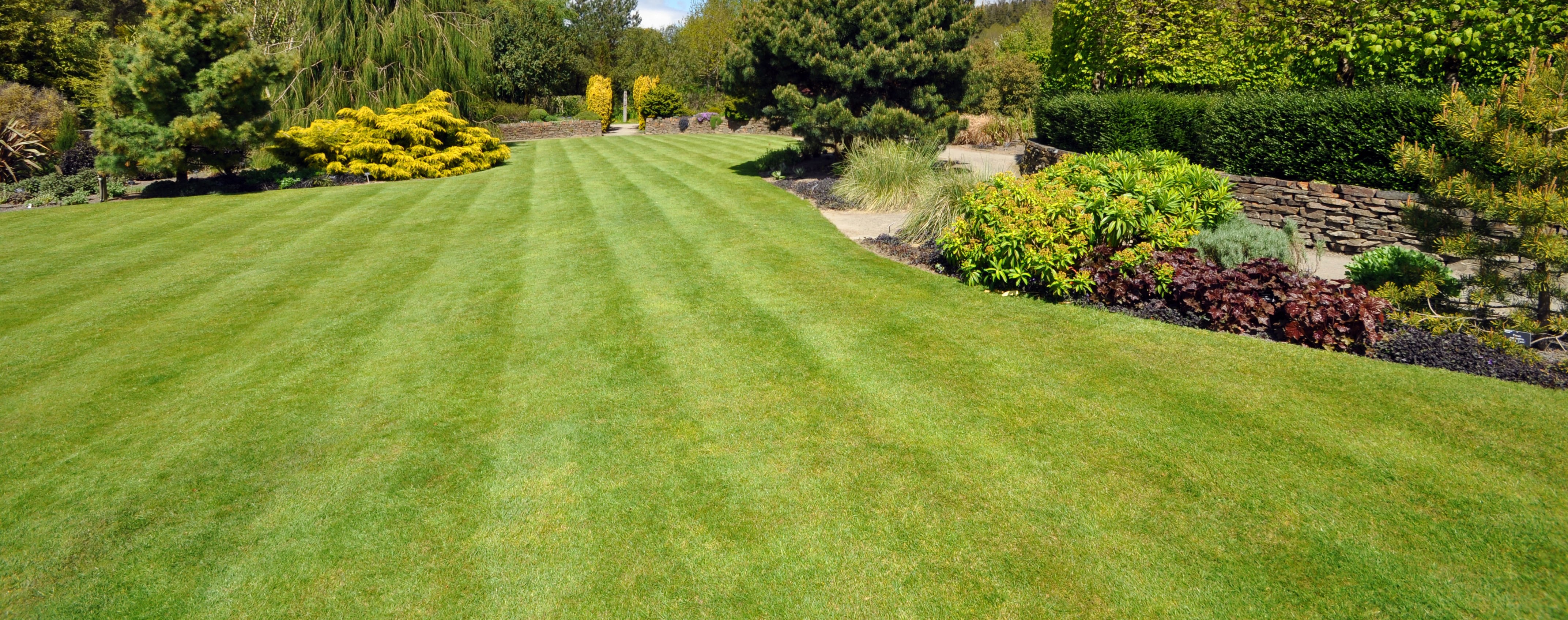 Garden Care