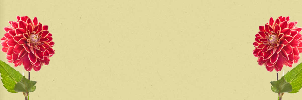 Home - Scotsdales Garden Centre